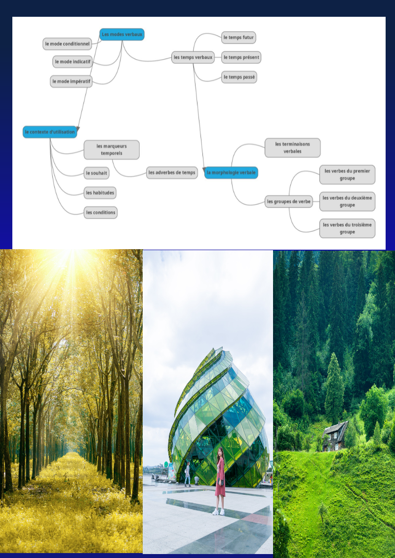 Mon infographie | Extend Activity Bank